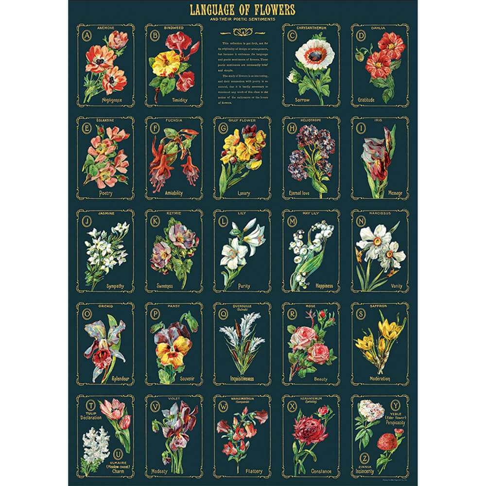 Floral Wall Art - Flower Poster - Floral Gift Wrap