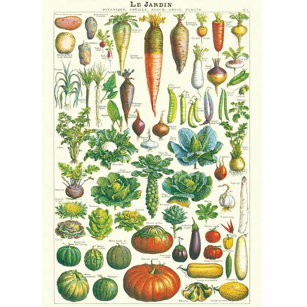 Vintage Vegetable Posters