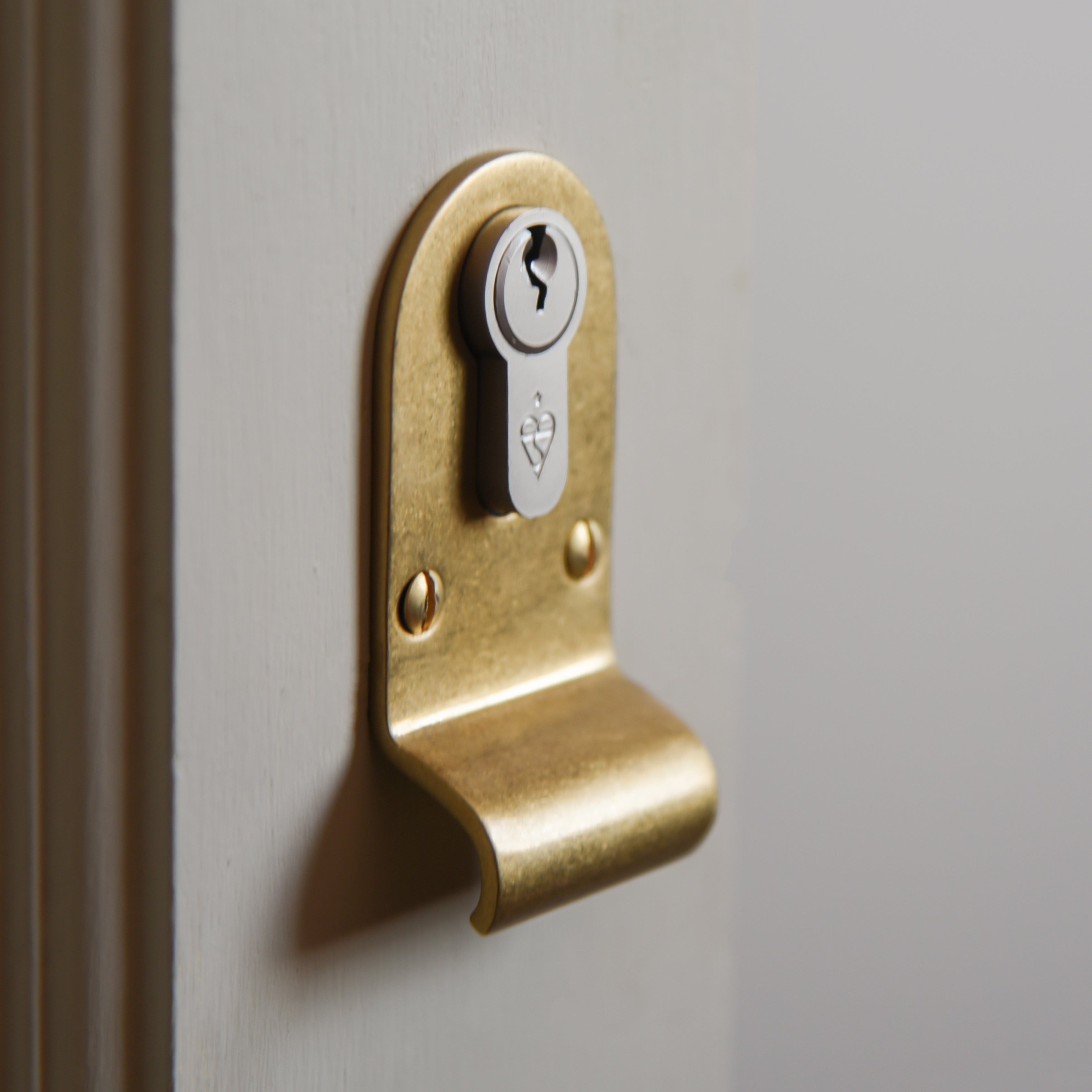 Cylinder pull - Euro profile cylinder pull - Latch pull