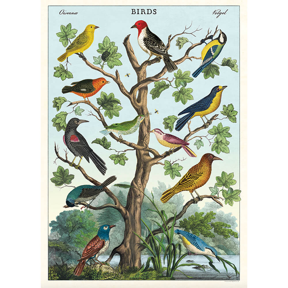 Bird Poster - Vintage Poster - Bird Wall Art