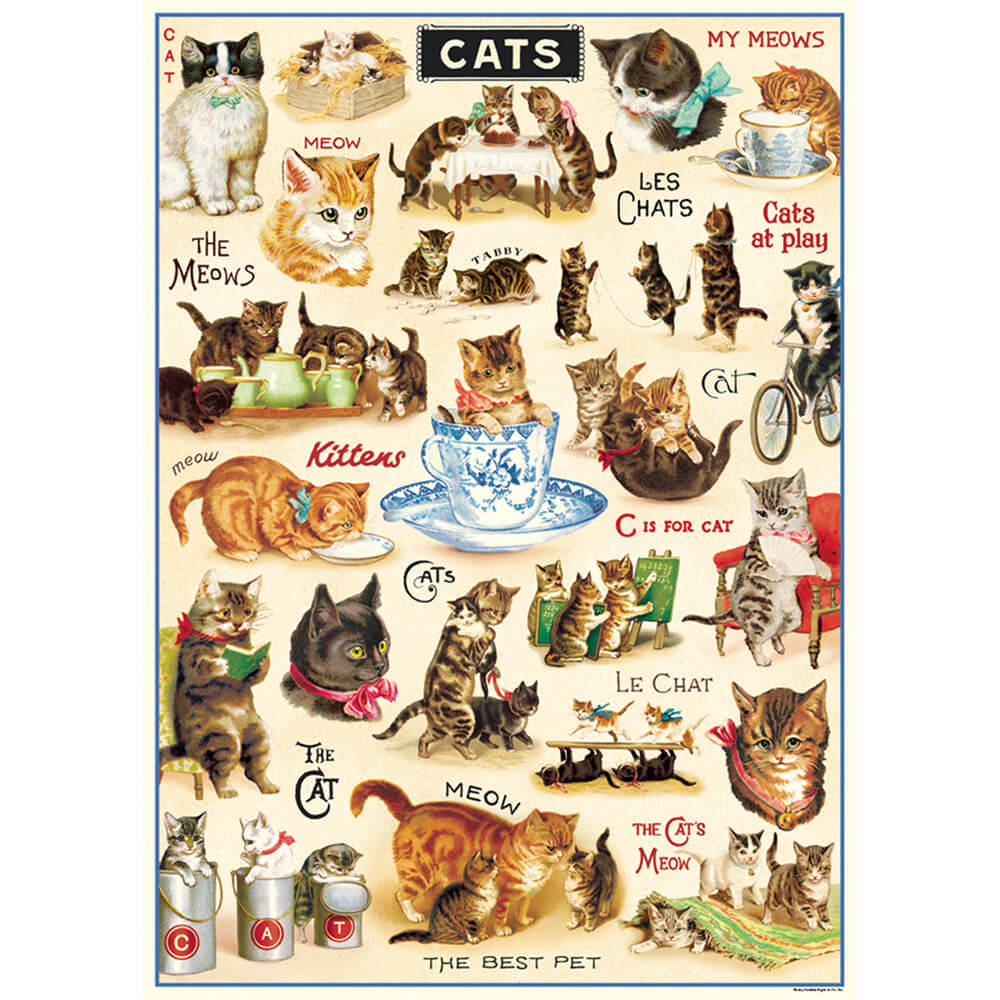 Cavallini Poster - Vintage Poster - Vintage Cat Poster