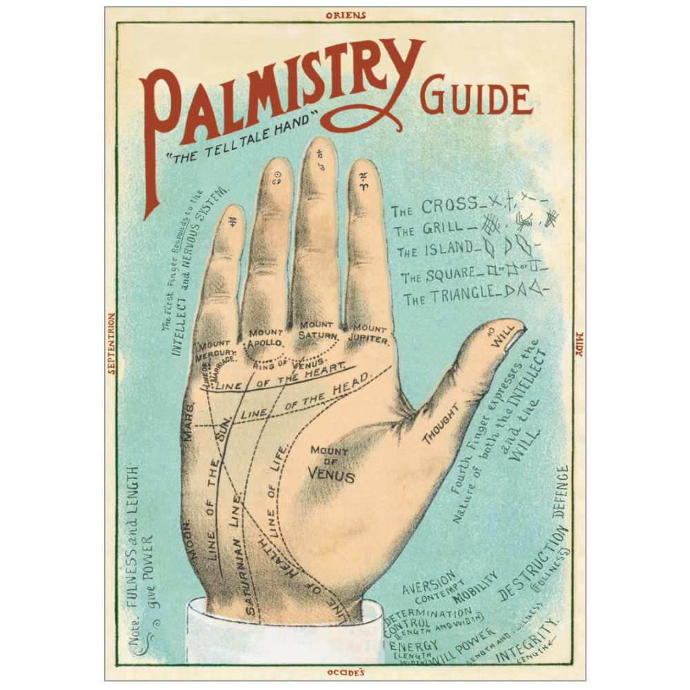 Cavallini Poster, Palmistry Poster, Palmistry Guide Poster