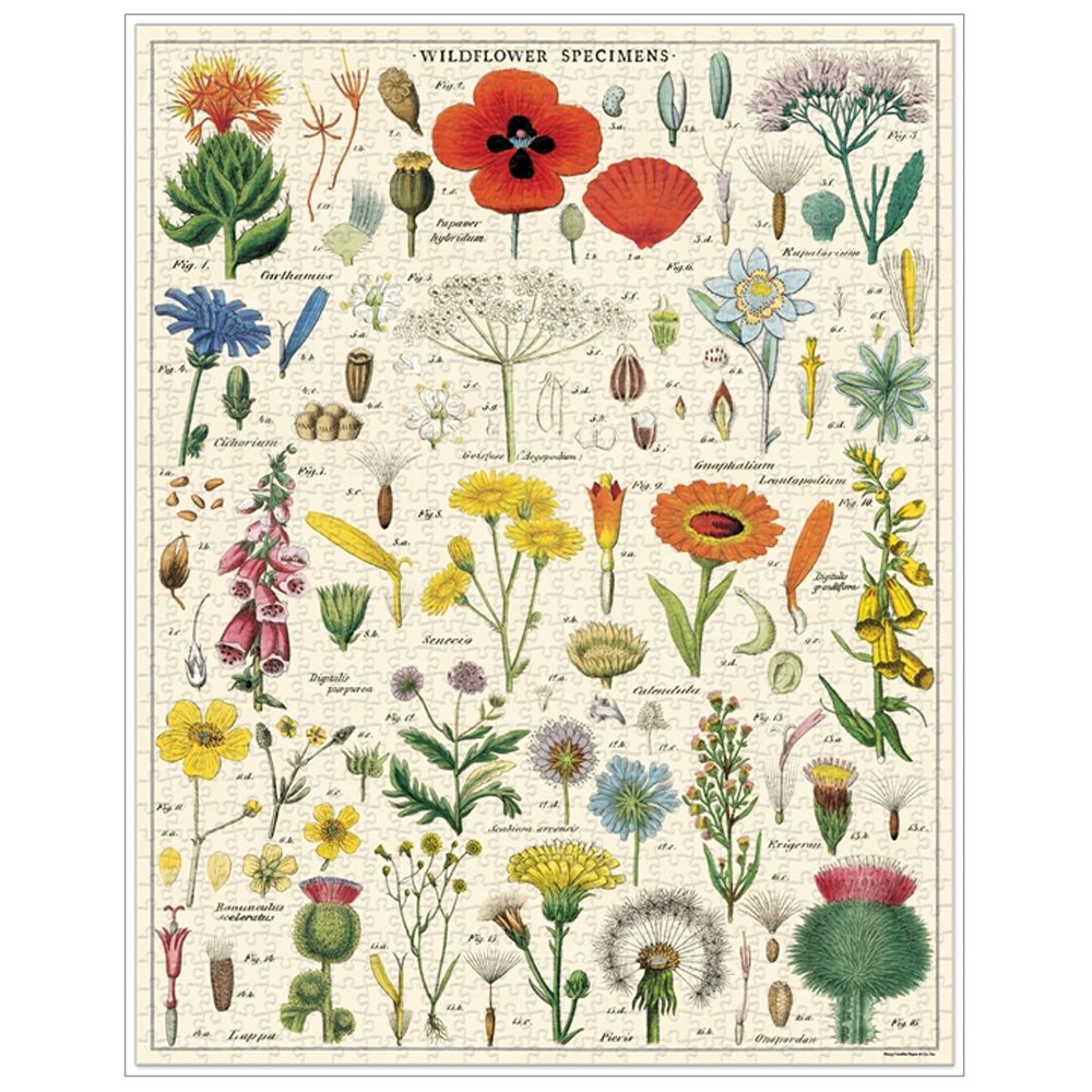1000 Piece Puzzles | Floral Puzzle | Wildflower Jigsaw