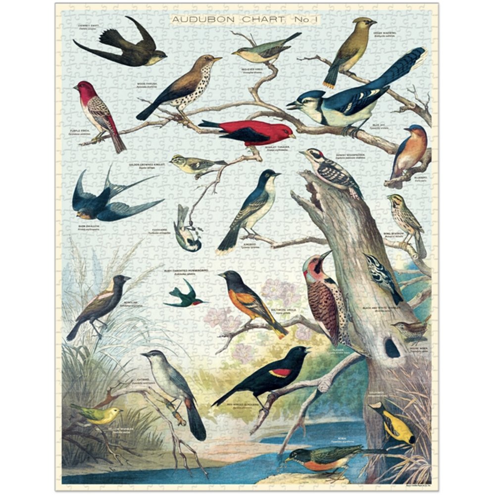 Bird Jigsaw Puzzle | Bird Jigsaw Puzzle 1000 Pieces